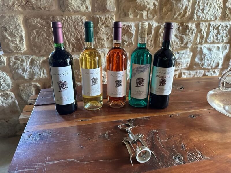 A Journey into the blue wine of Syria - Syria Scope Travel